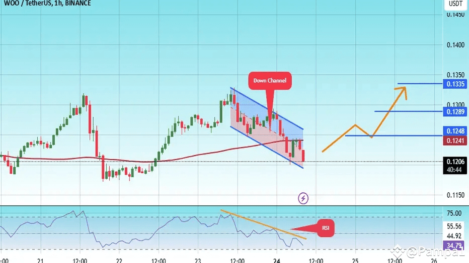 🚀 WOO Alert! Breakout Incoming? Let's Analyze! 📈🔥 | Pampa1 on Binance Square