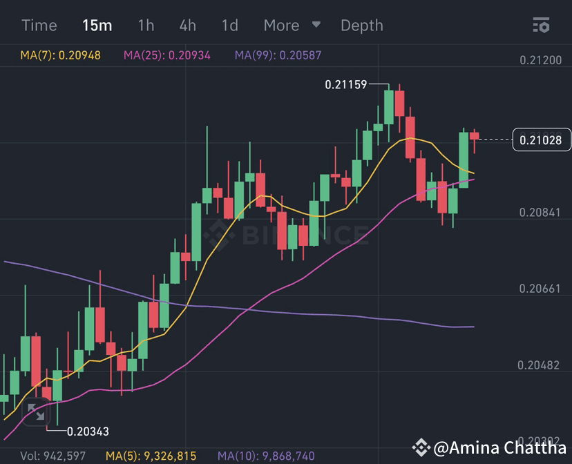 $DOGE Bullish Momentum Holding – Next Move? 🚨 DOGE/USDT is | Amina Chattha on Binance Square