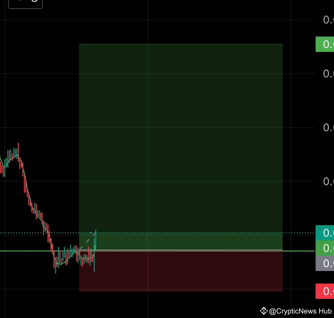 Omg !! (Signal no. 628) Urgent alert , Whales call 🚨🚨🚨 | CrypticNews ...