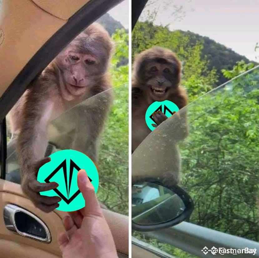 The Easiest Way; How to Turn $20 into $1,000 in 7 Days🔝 Usi | st_anlay ...