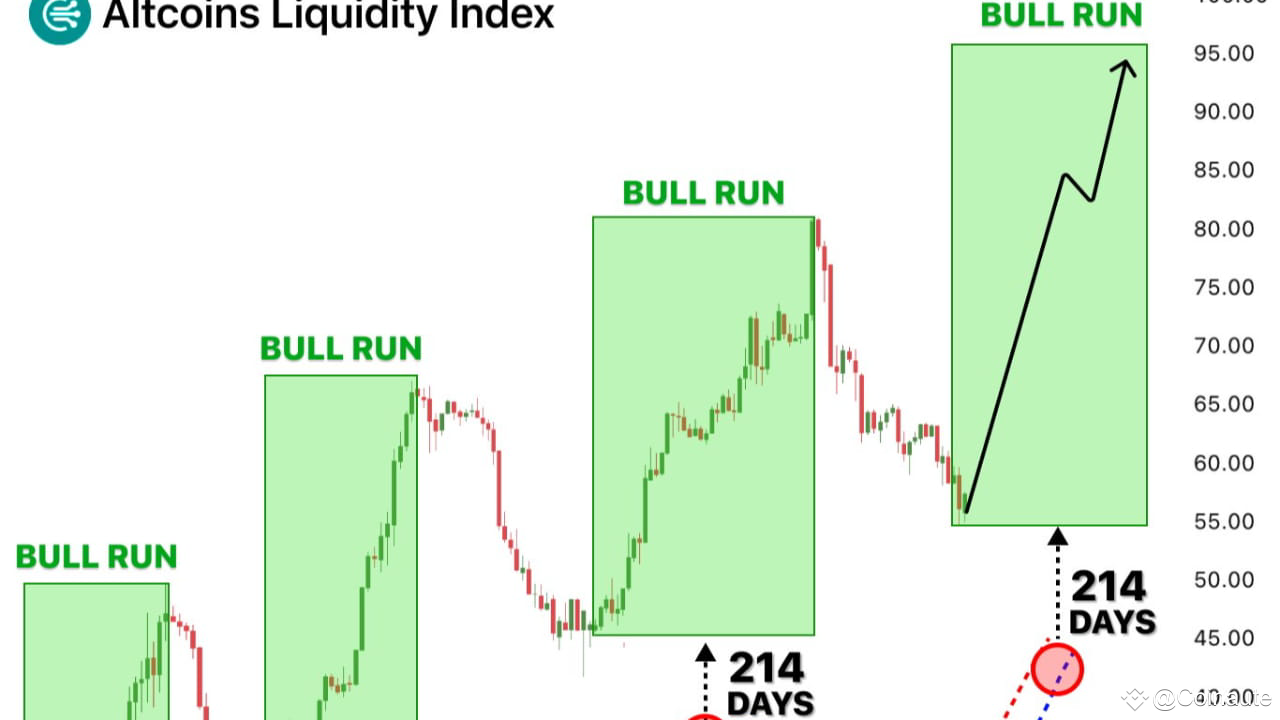 Altcoins entered 214 days euphoria phase | Coinaute on Binance Square