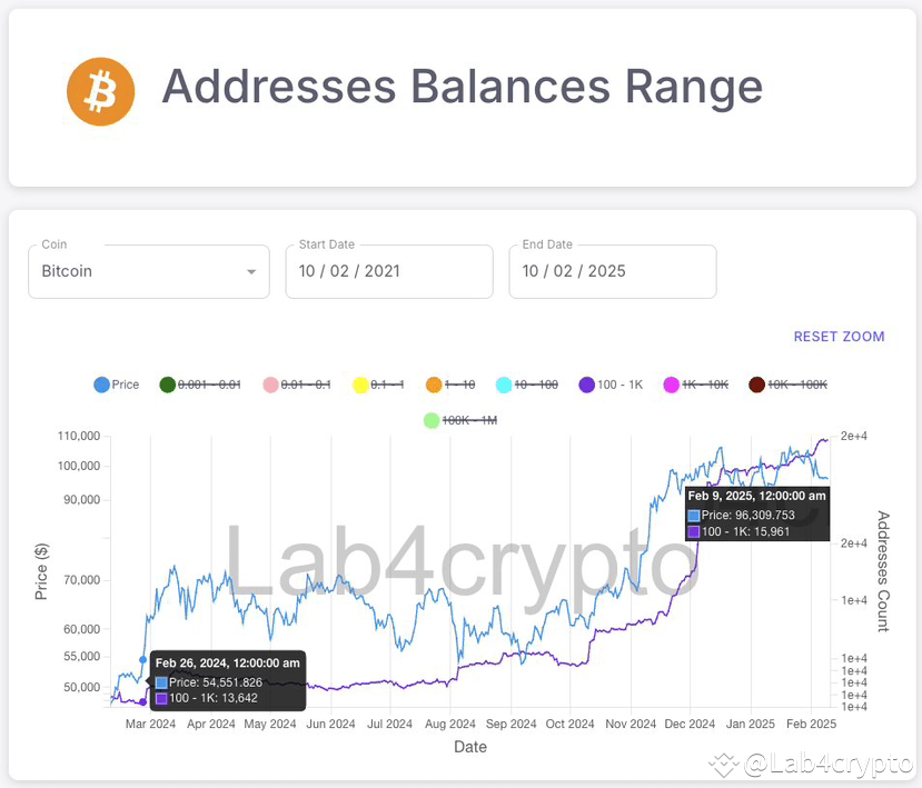Bitcoin addresses holding 100 to 1,000 BTC have increased by ...