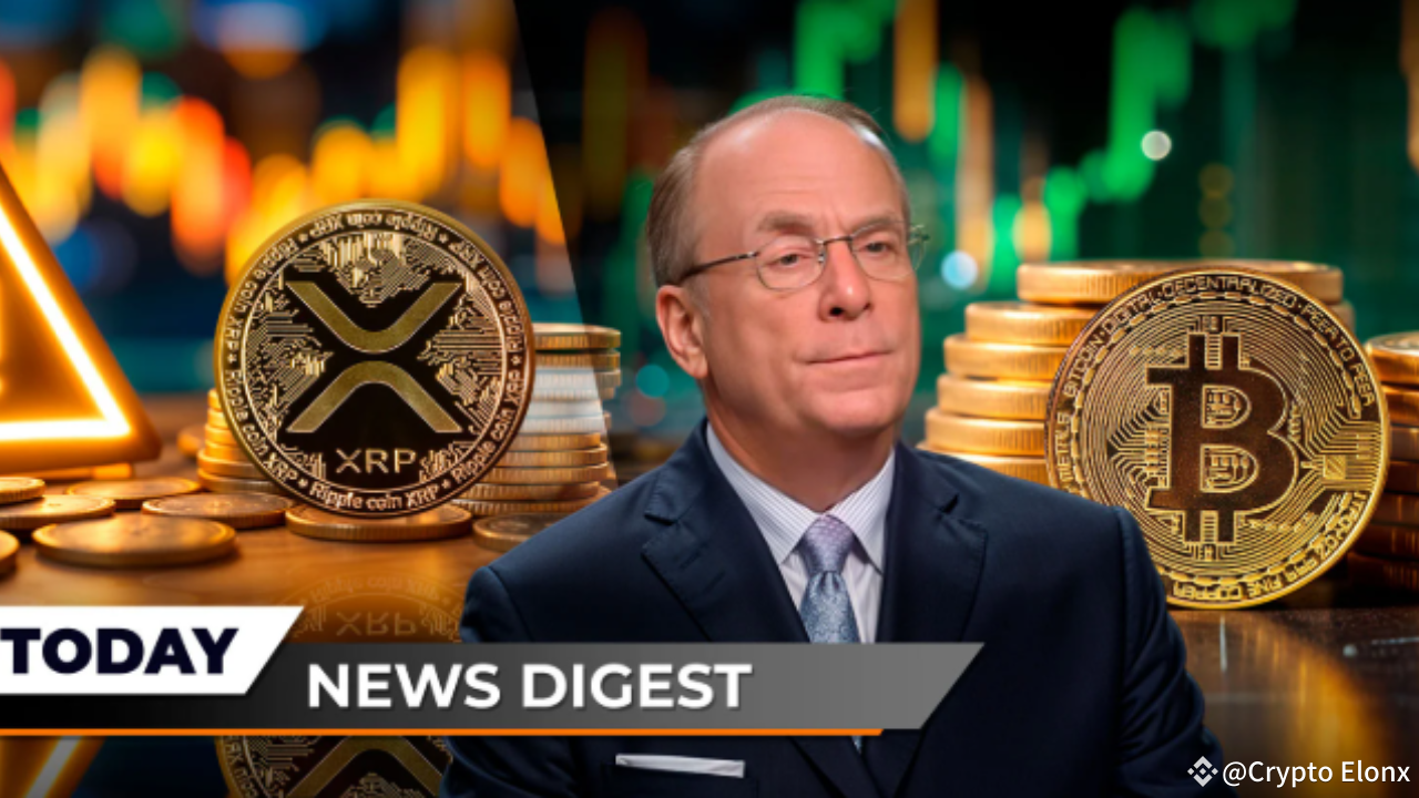 Is the US Government Planning to Buy XRP at $10,000? | Crypto Elonx on ...