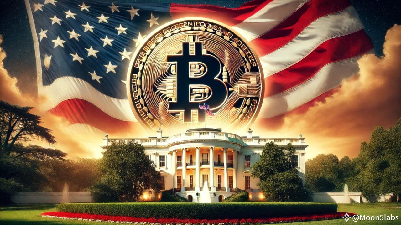 TRUMP'S ADVISORS BEGIN MAPPING OUT NATIONAL CRYPTO RESERVE PLAN – WHAT'S NEXT? | Moon5labs on ...