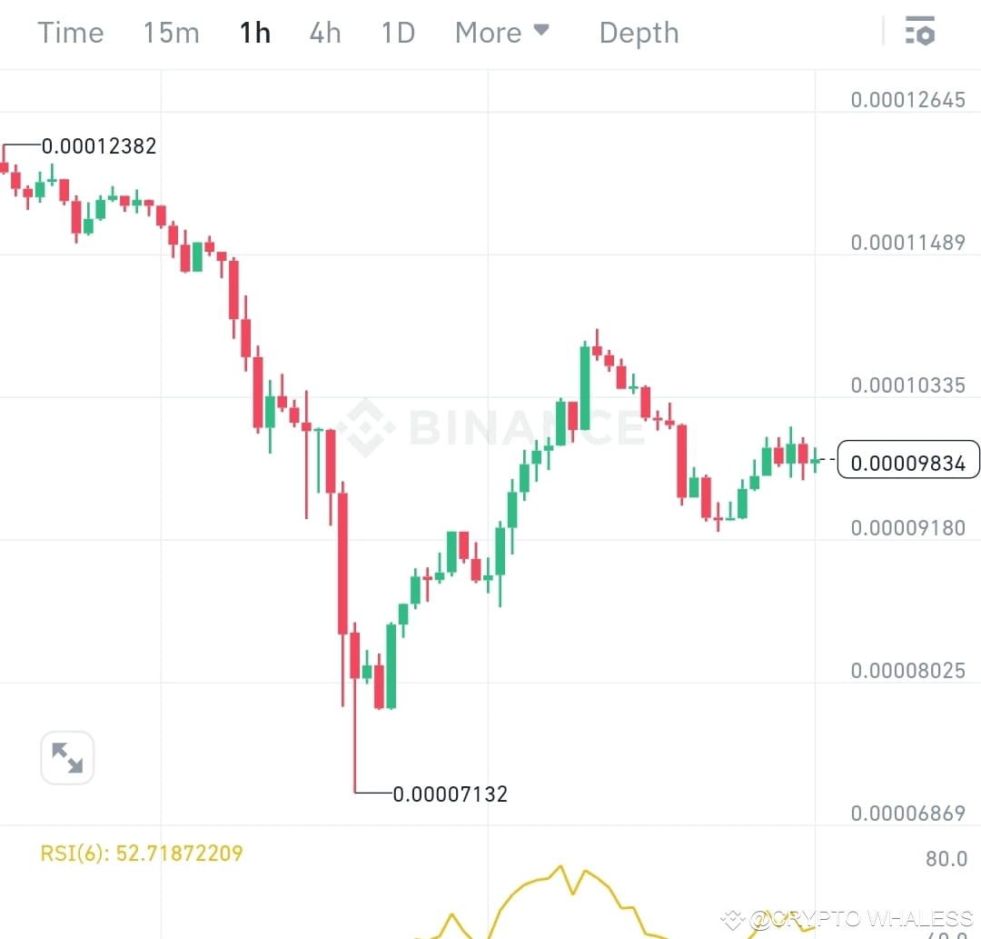 $FLOKI /USDT: Waiting for consolidation before the next move | CRYPTO WHALESS on Binance Square