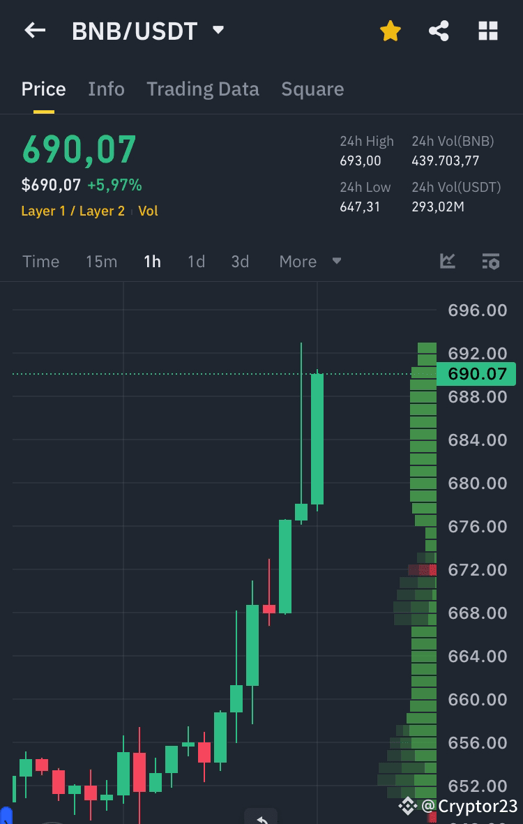 🔥 $BNB Ignites Massive Pump! Blasting Through $690, Eyes ...
