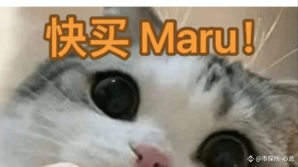 Why everyone is buying the value coin $MARU in MEMECOIN | 心总 on Binance ...