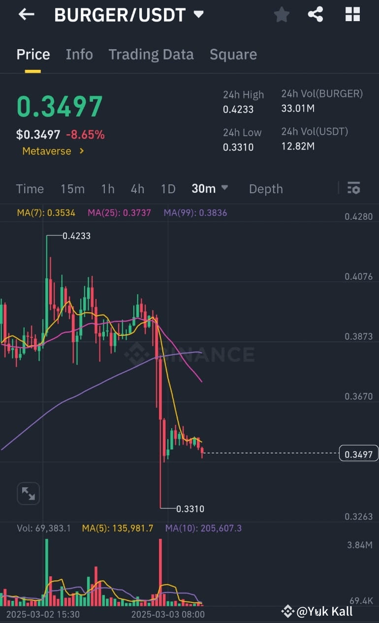 $BURGER 🔥🚀 BURGER Token: The Dip Before the Rip! 🍔💰 📉 | Yuk Kall ev6g ...