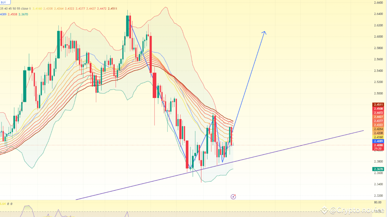 XRP Coin Signal | Crypto novice on Binance Square
