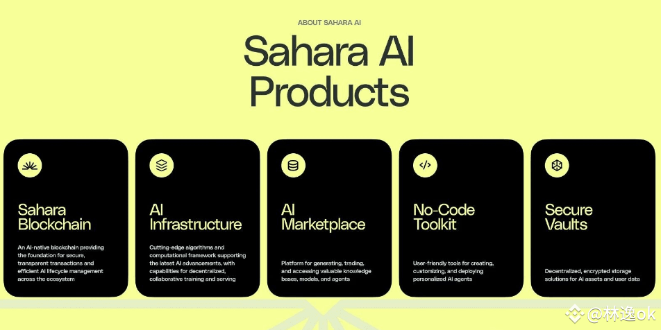 Sahara, a decentralized first-tier project in the AI sector, has raised ...