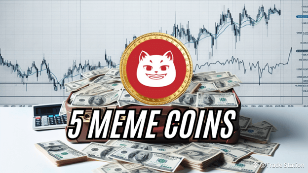 🚀 Undervalued Meme Coins for January Gains: Catzilla’s 300% Explosion ...