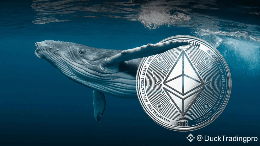 Ballena de la era Satoshi acumula $400 millones en ETH 🐋 U ...