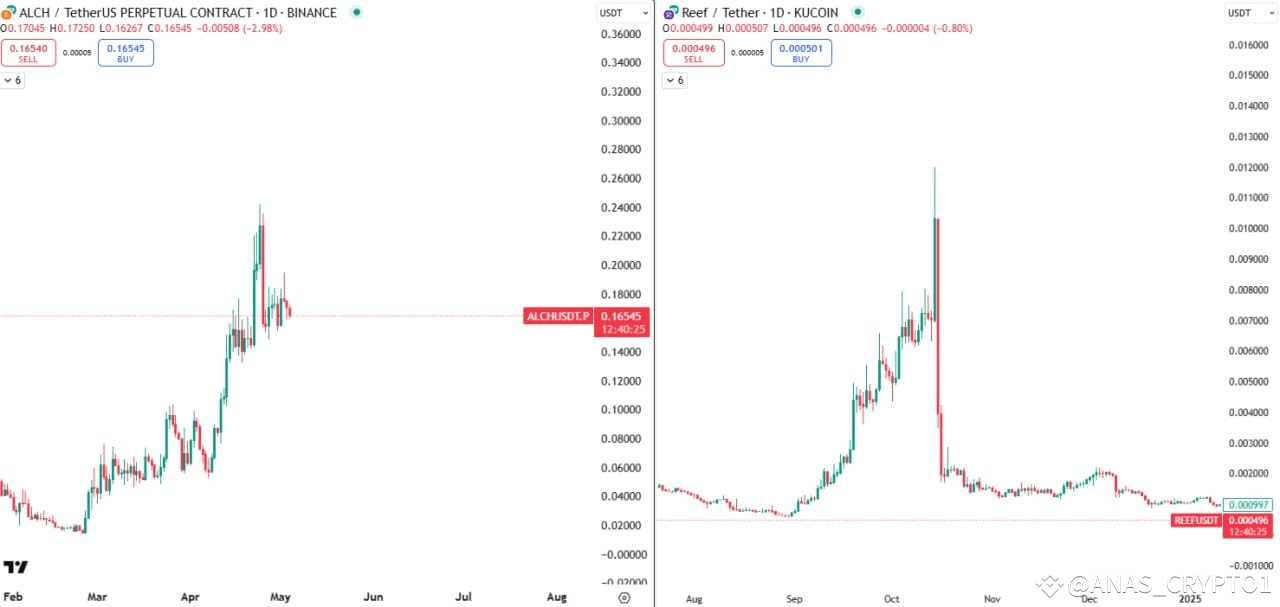 🚀 ALCH = Next REEF? 🚀 We’re seeing ALCH possibly | ANAS_CRYPTO1 on ...
