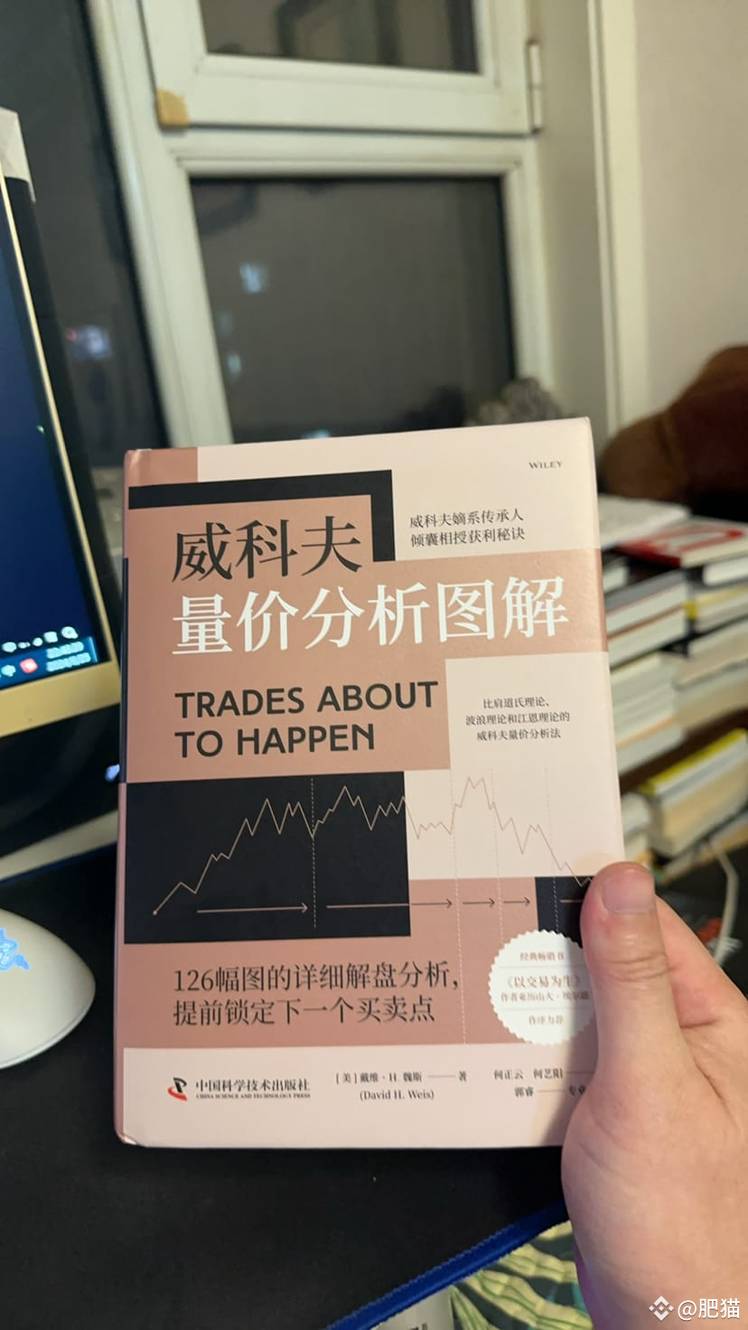 Recommend this book. It is sold on Pinxixi. It costs about 2 | 肥猫 on ...