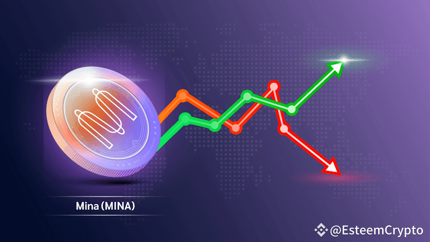 Mina Coin Advances Towards Growth with its 2025 Vision 🌟 ...