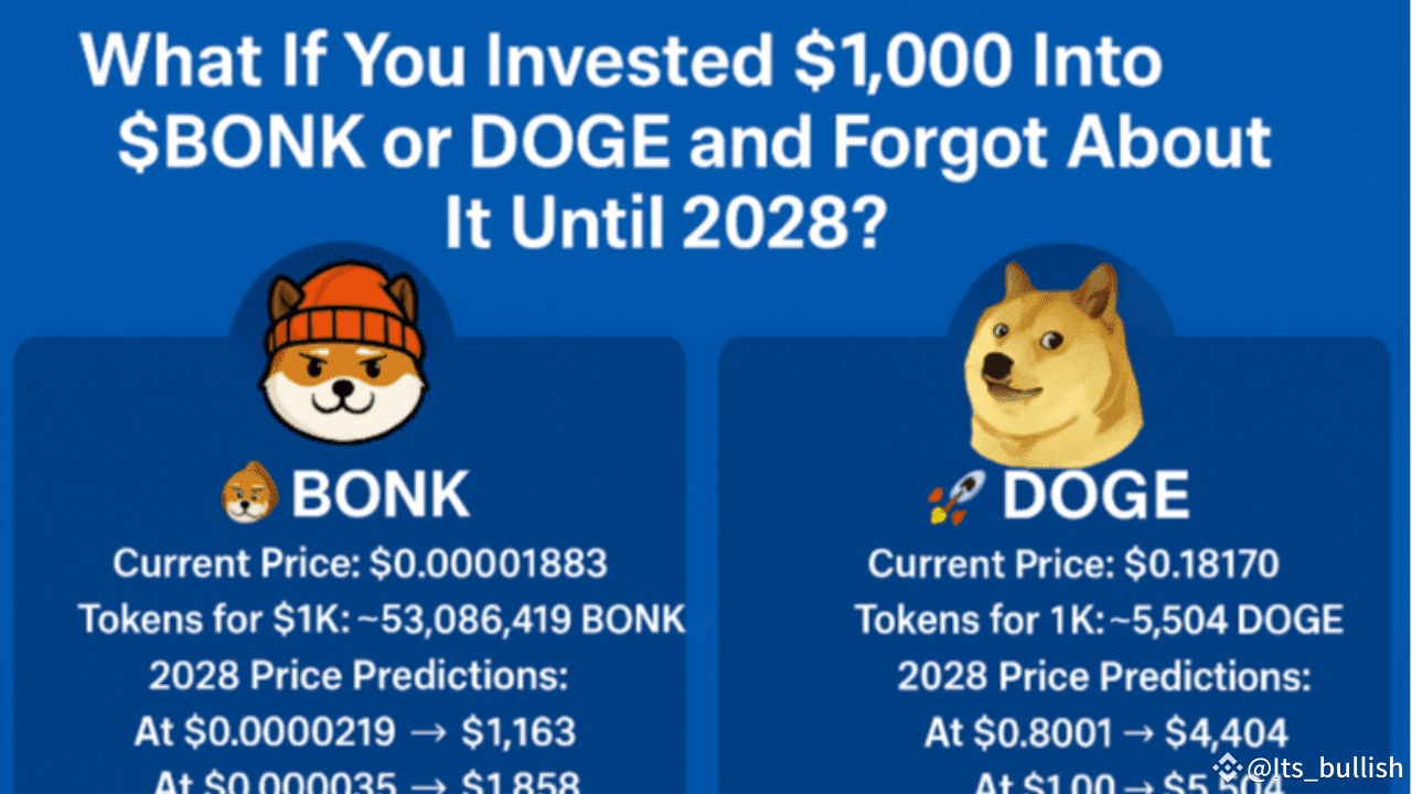 What if You Parked $1,000 in $BONK or $DOGE and Left It Untouched Until ...