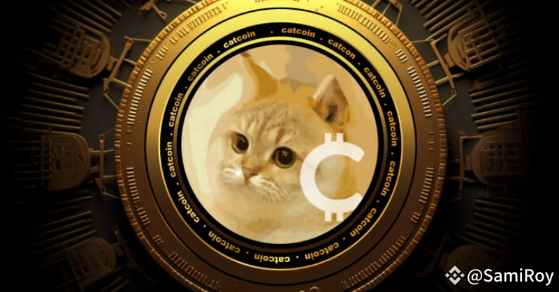 $CATI Catizen Price Prediction 2024 In the first week of | SamiRoy on ...