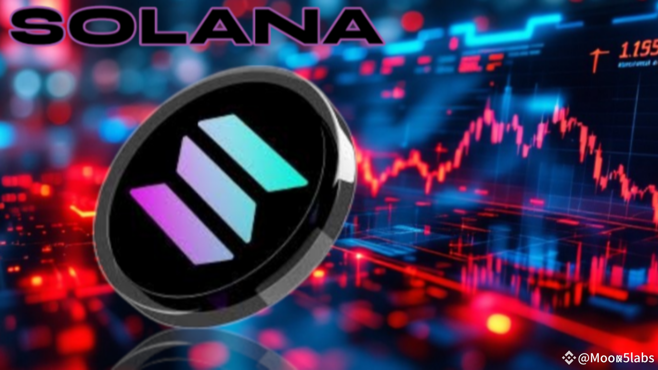 Solana Price Drops Below $200 as SOL Founder Calls Meme Coin Rug Pulls ...