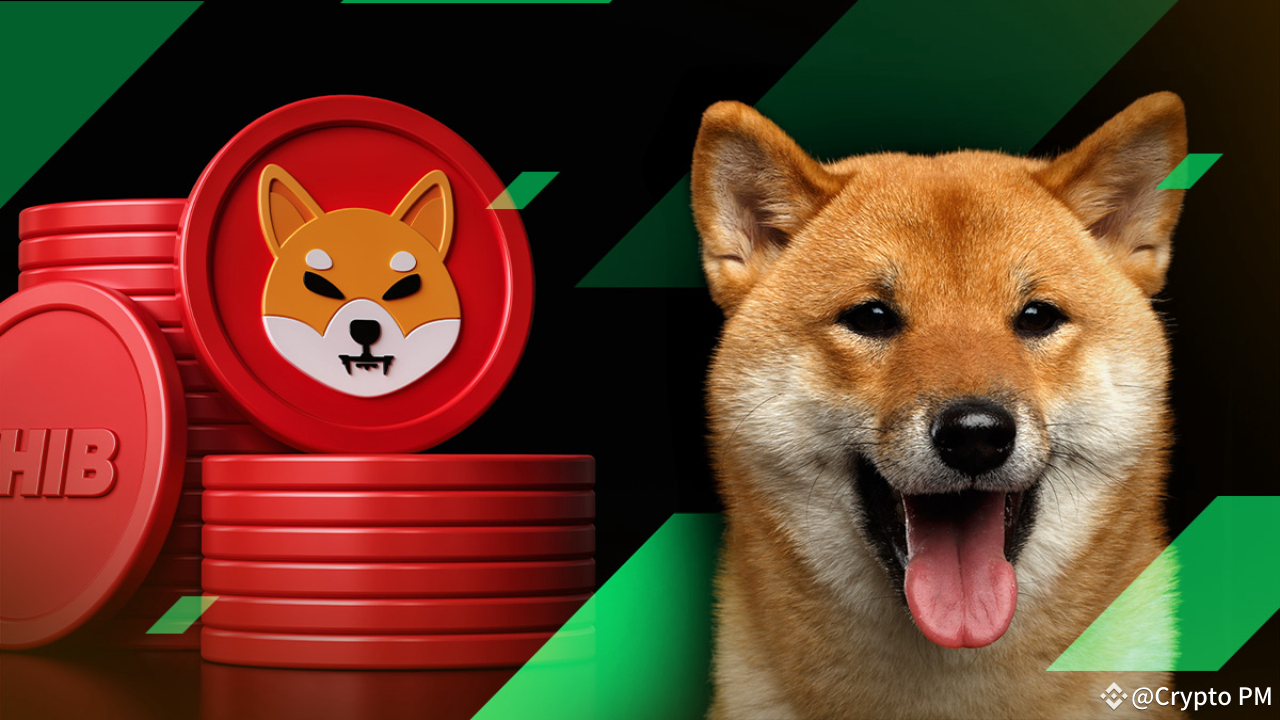 🔥 Shiba Inu (SHIB) on Fire: Over 410 Trillion Tokens Burned Amid Rising ...
