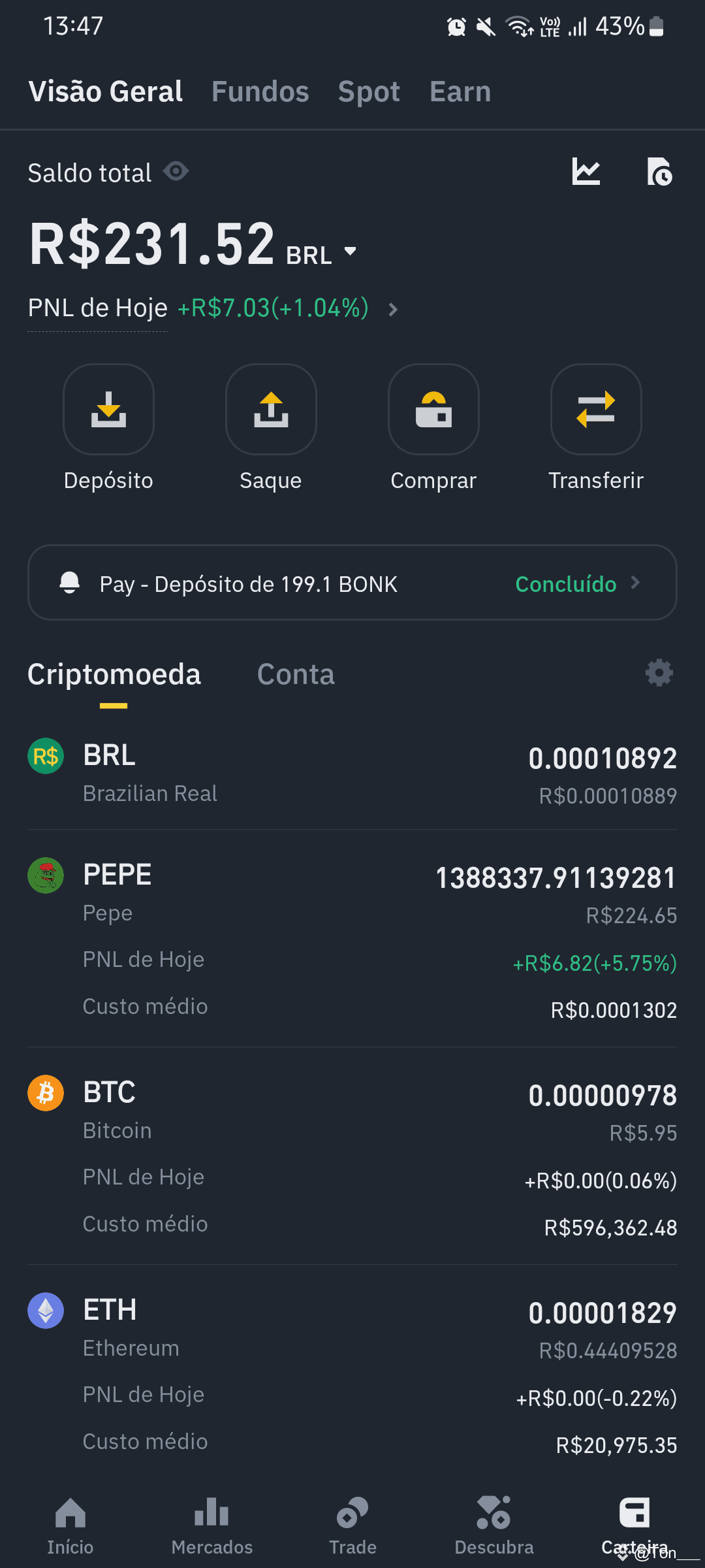 I'm betting everything on Pepe, whatever God wants! We all d | Ton ...