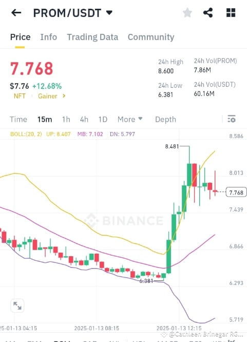 🚀 $PROM #AltcoinBoom #10DaysToTrump #BTCMove #XRPRise | Rai Haji ...