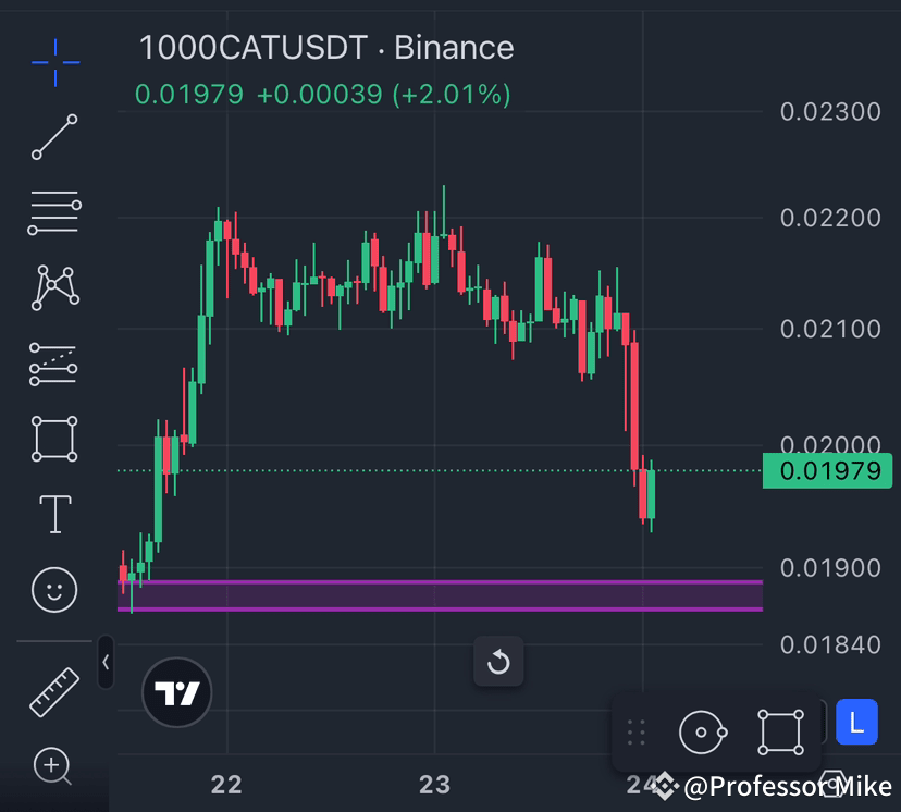 Short Trade Signal: $1000CAT /USDT! 🔥💯 Market Insight: 10 | Professor Mike on Binance Square