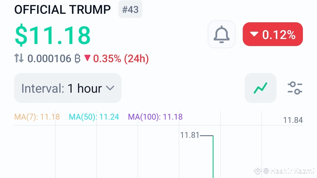 Trump Coin Market Overview 4 June 2025 | Hashir Kazmi on Binance Square
