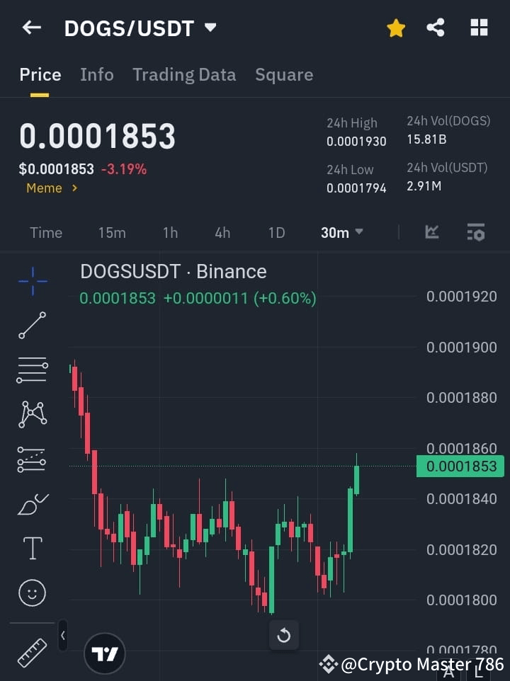 🚀 $DOGS /USDT - Potential Reversal? Key Levels to Watch! 📉 | Crypto Master 786 on Binance Square