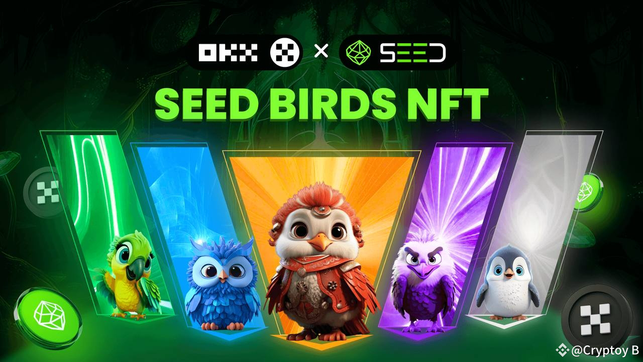 😍 SEED x OKX 🪙: The 1st NFT Collection of a TON project! | Cryptoy B on ...