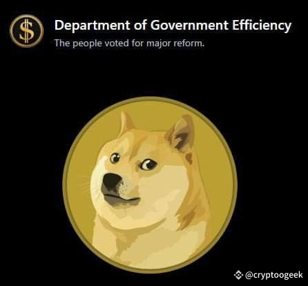 The official DOGE website has been launched 🔥 +16% in the | cryptoogeek ...