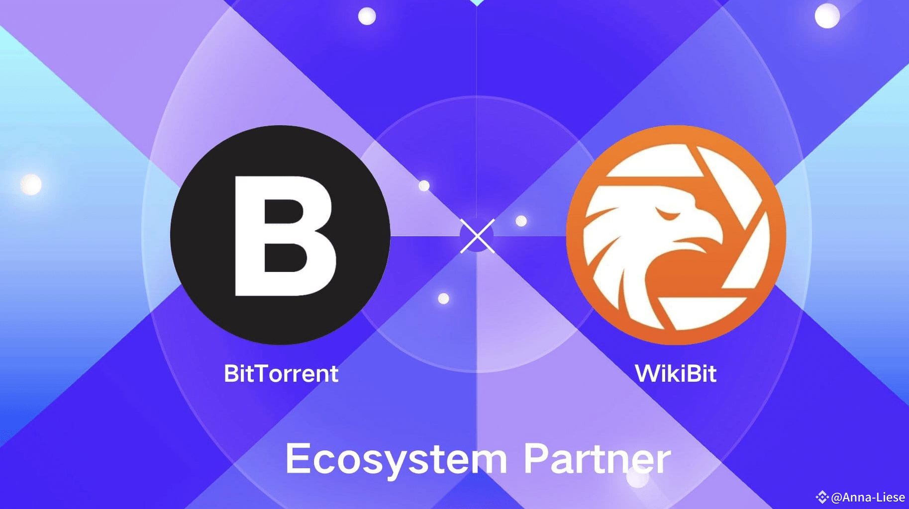 BitTorrent Chain (BTTC) Partners with WikiBit $BTTC BTTC | Anna-Liese ...
