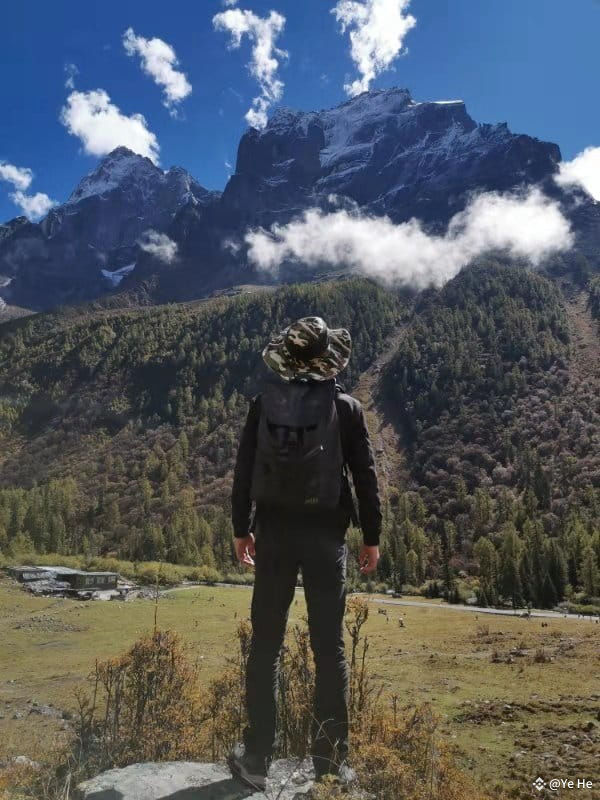 Driven by the wave of digitalization, the live streaming ind | Ye He on ...