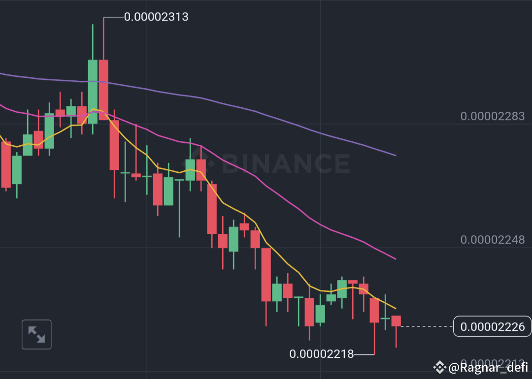 🐾 $SHIB/USDT Bearish Signal – Short It Smart! 🔥📉 🔑 En | Ragnar_defi on ...