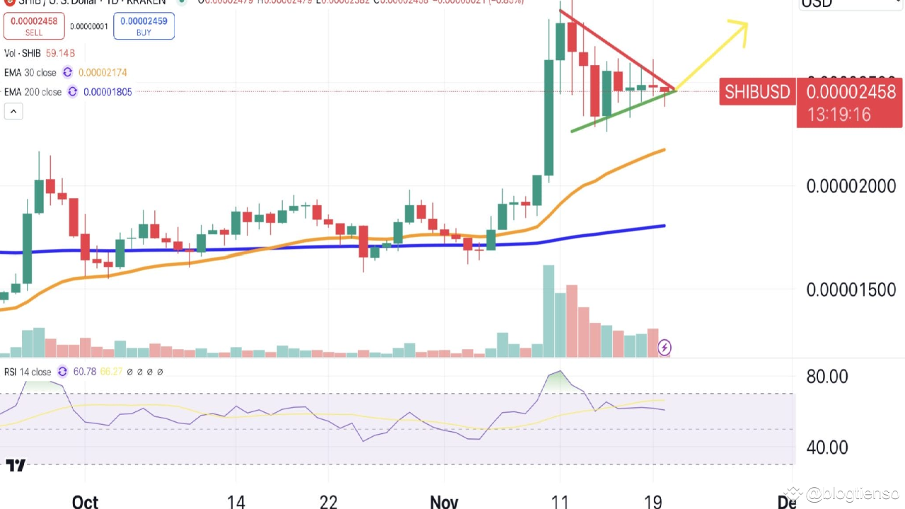 Shiba Inu: Bright Future or Facing Risks? | blogtienso on Binance Square