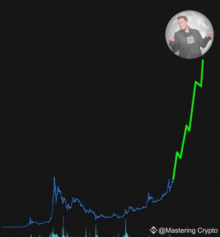 Top Meme Coins to Invest If You Want Big Profits 🌀 As Bitc | Mastering ...