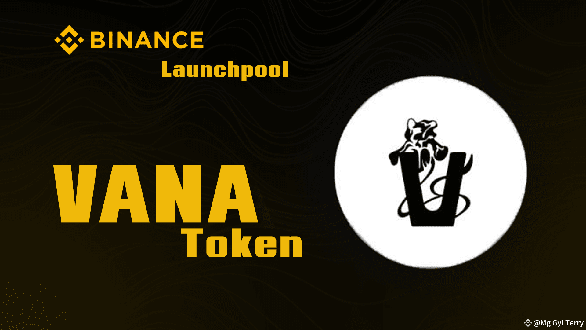 The Vana (VANA) Token is the latest project to be featured o | John1232 ...