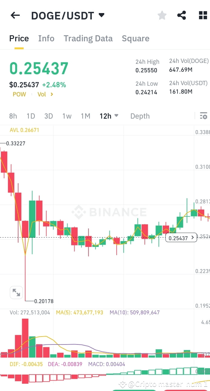 $DOGE SHORTS WIPED OUT! DOGE/USDT just saw a massive l | Cripto master num 1 on Binance Square