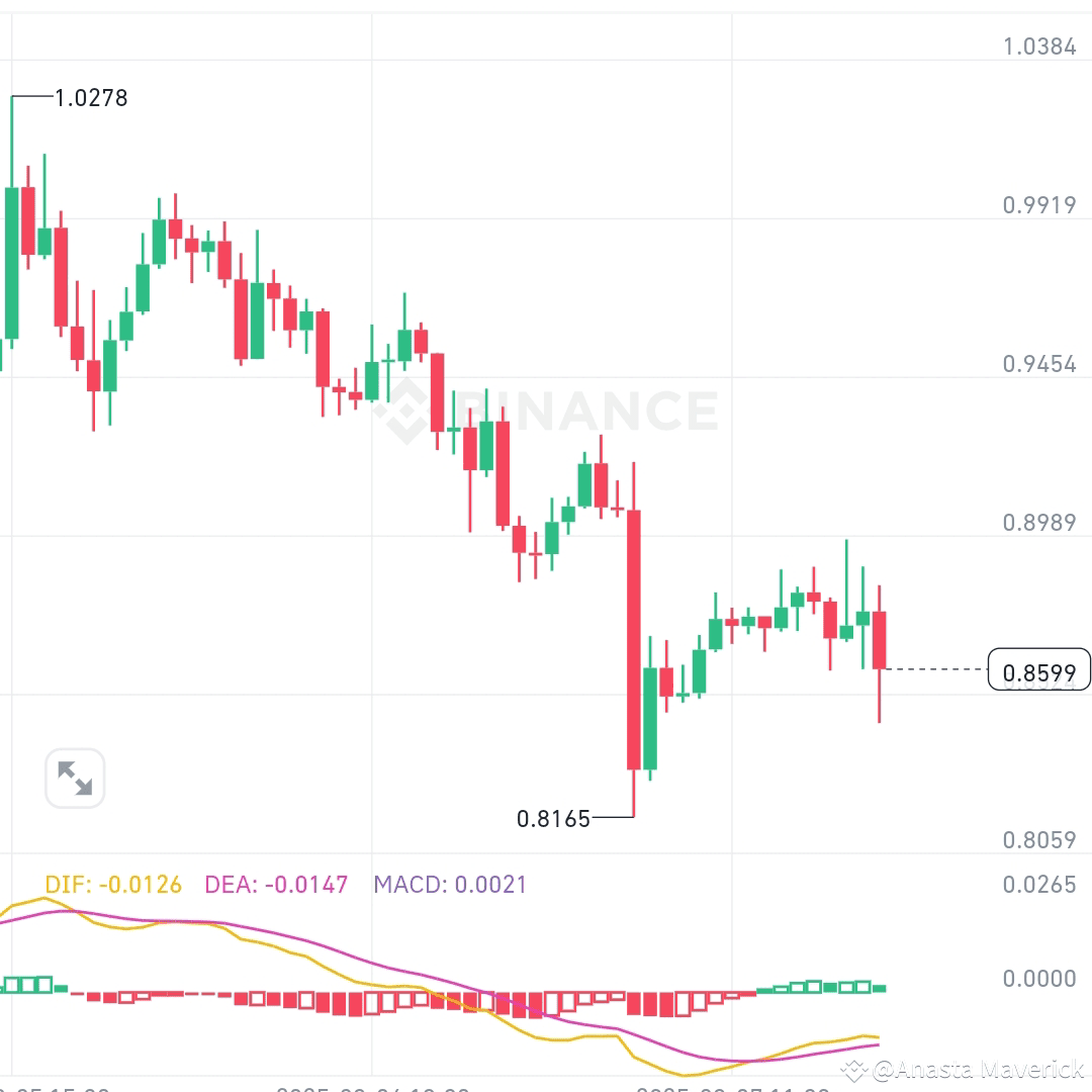 $ADA /USDT Facing Strong Pressure – Reversal or More Downsid | Anasta Maverick on Binance Square