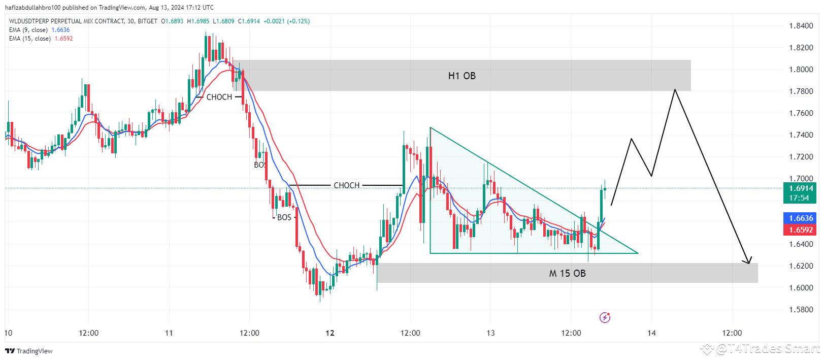 $WLD 30m Time frame shows us Bullish until it hits H1 OB | Edward ...