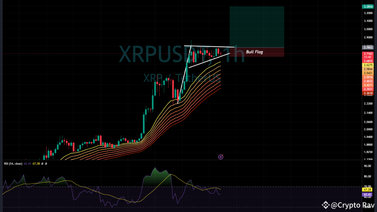 XRP ON BULLS!?!? | Cryptorav5 on Binance Square