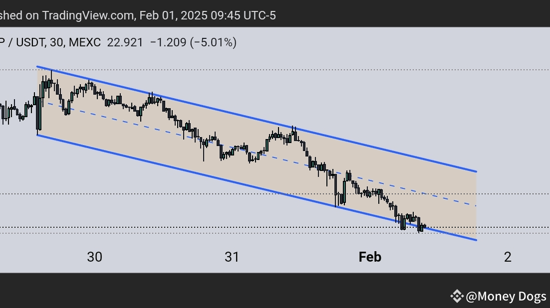 Deep Analysis of the Official TRUMP/USDT Chart on MEXC (30-Minute ...