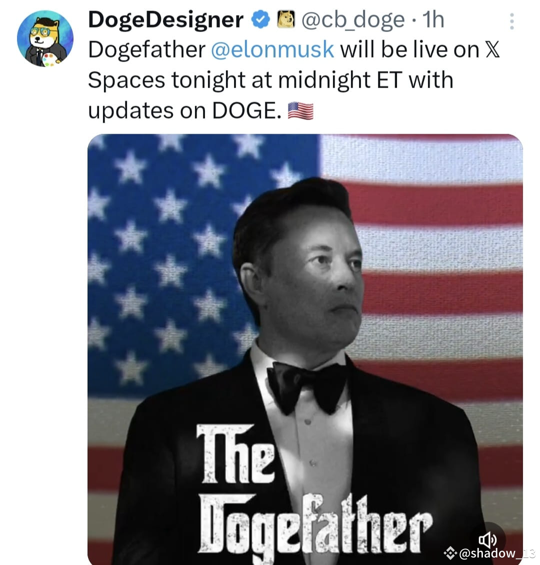 The father of $DOGE #ElonMusk 🚀🚀🚀 Never lose your hope | shadow_13 on ...
