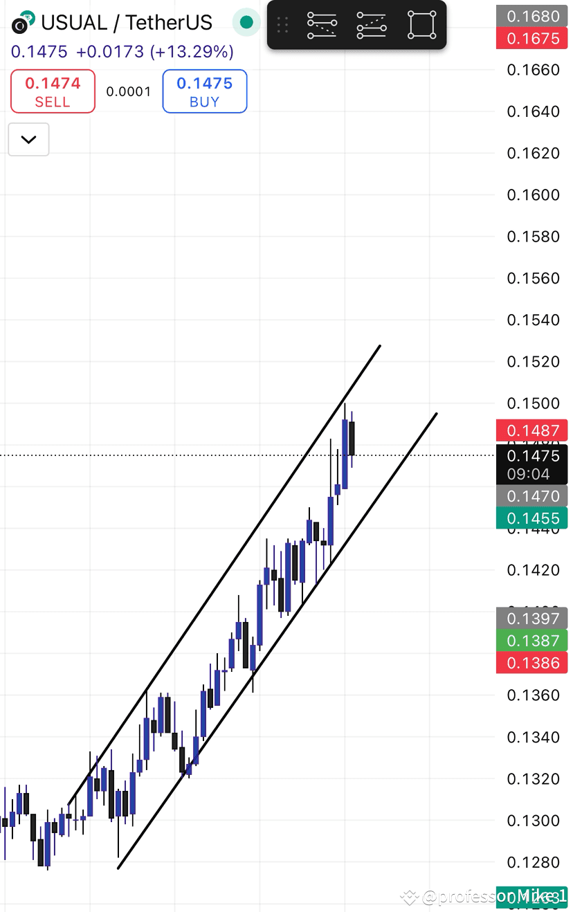 $USUAL /USDT – Bull Run Still Continued! Take Entry Now Guys | Professor Mike Official on ...