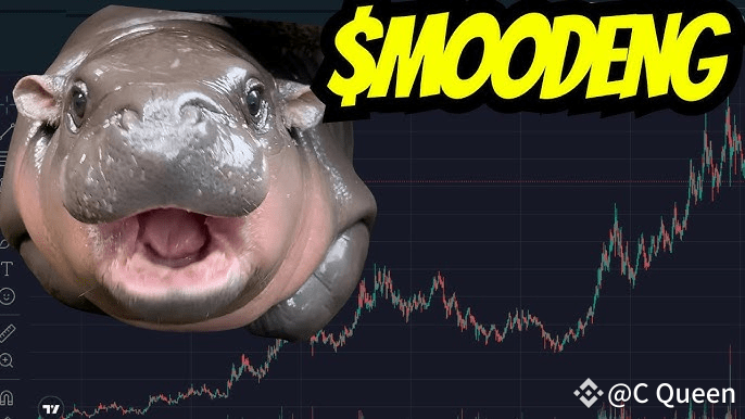 From Hippos to DOGEN: As Moo Deng ($MOODENG) Skyrockets 1000%, Is DOGEN ...