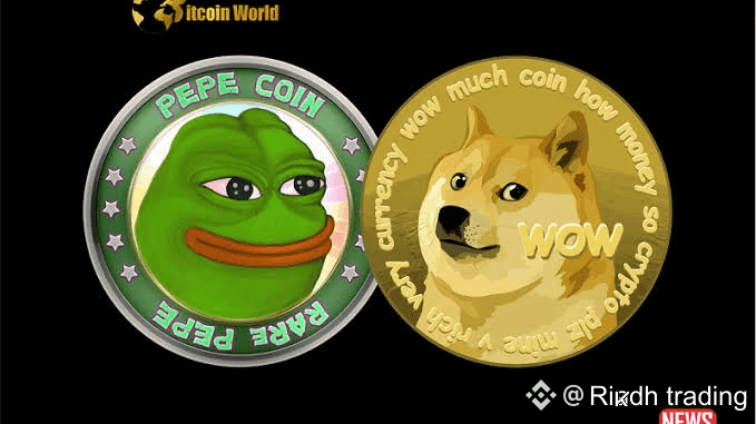 PEPE vs DOGE which coin should you invest in ? read the post below ...