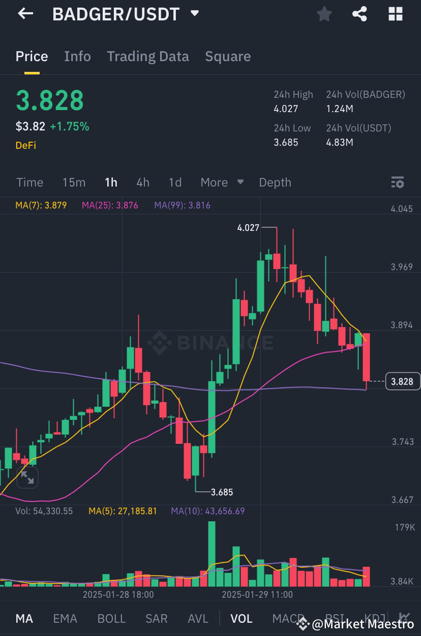 $BADGER : Key Levels and Trade Opportunities BADGER is curr | Market ...