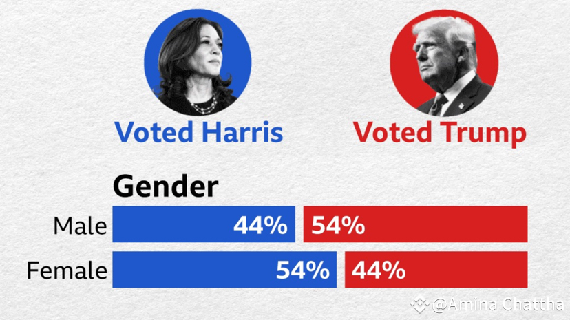 US Election 2024: Key Demographics and Voting Trends Revealed | Amina ...