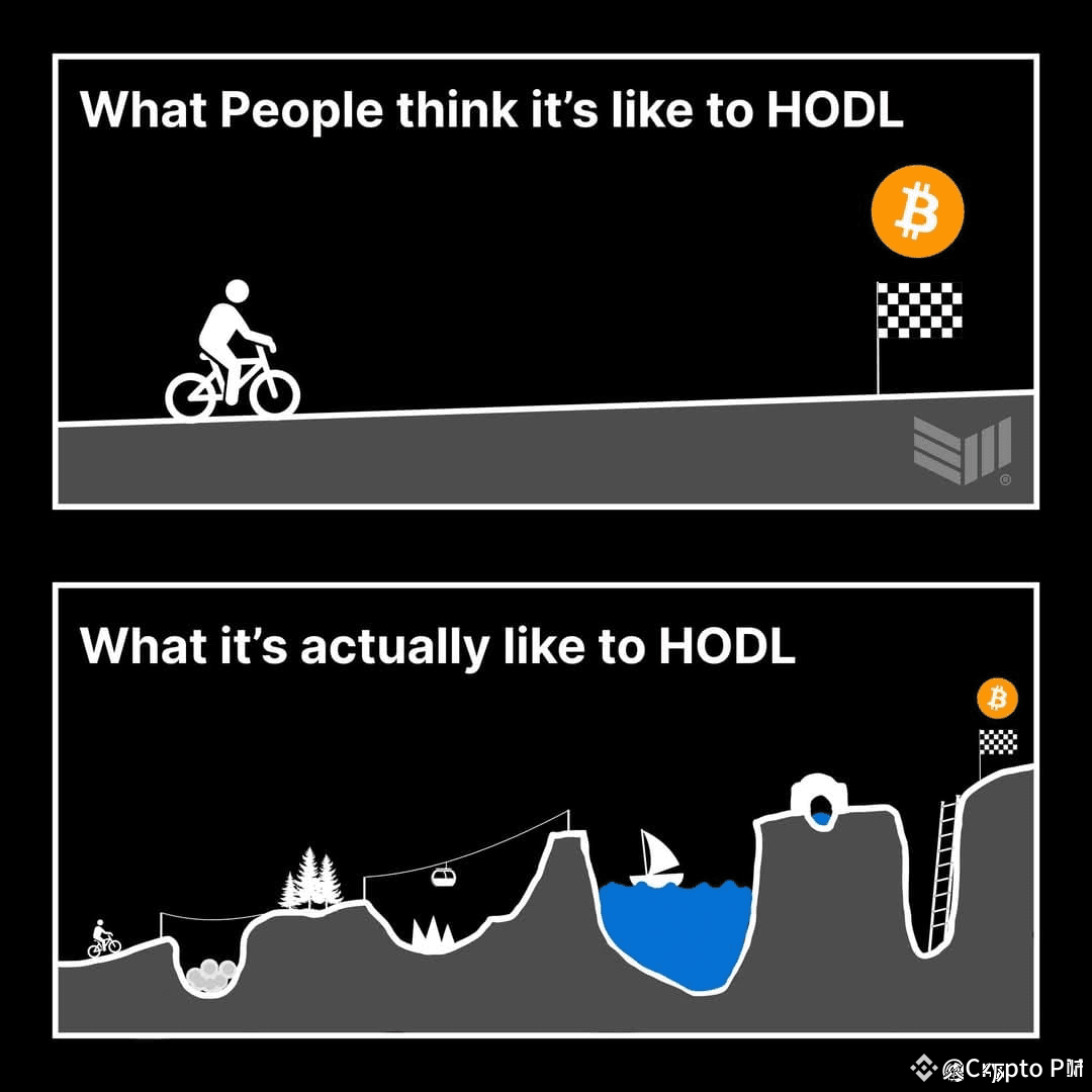 What it looks like to HODL $BTC Agree with me..? drop yo | Crypto PM on ...
