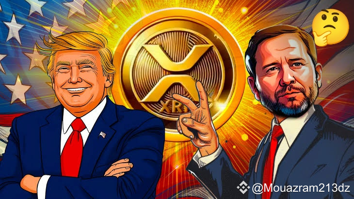 🚨🇺🇸Is Trump Appointing Brad Garlinghouse (CEO Ripple) As Crypto Expert ...