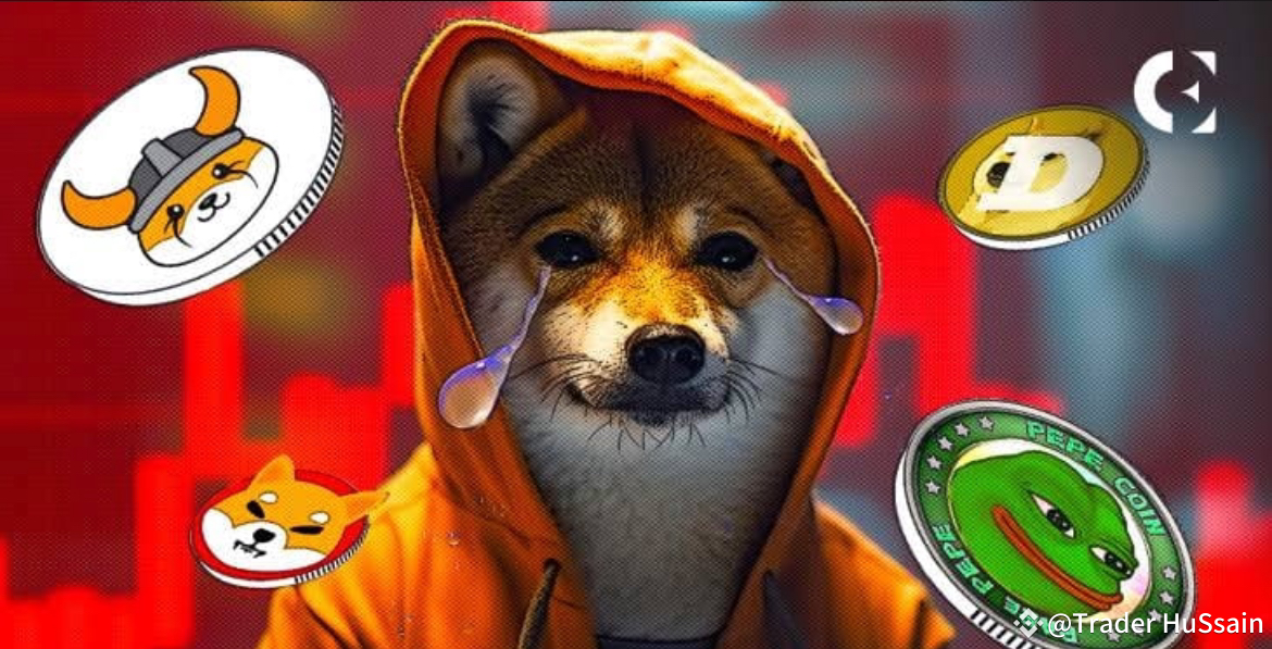🚀 5 Meme Coins That Could Make You a Millionaire in 2025! | Trader HuSsain on Binance Square